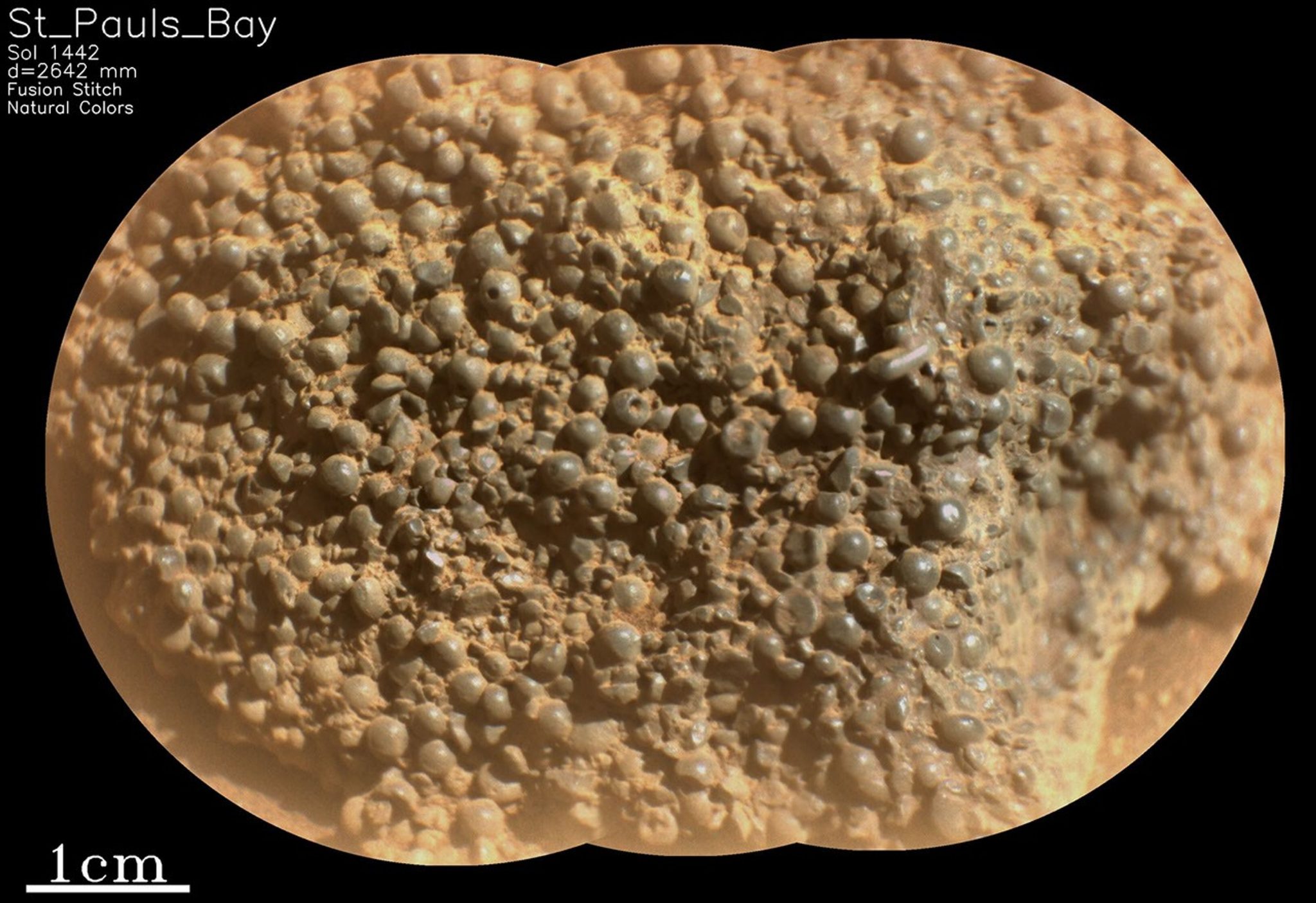 Misteriose sfere scoperte su Marte dal rover Perseverance: scienziati ...