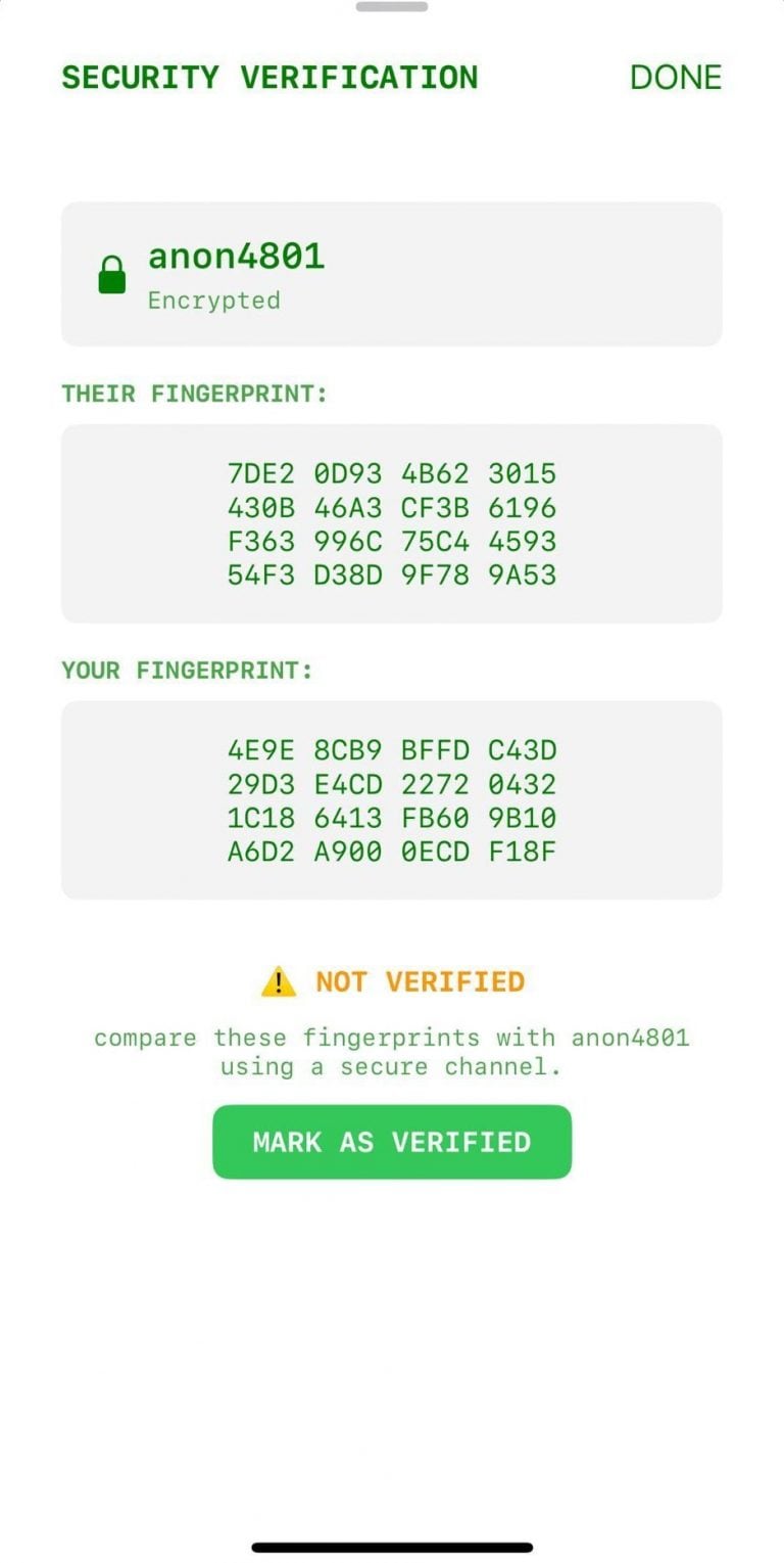Abbiamo provato Bitchat, la rivale di WhatsApp: si usa senza avere il ...