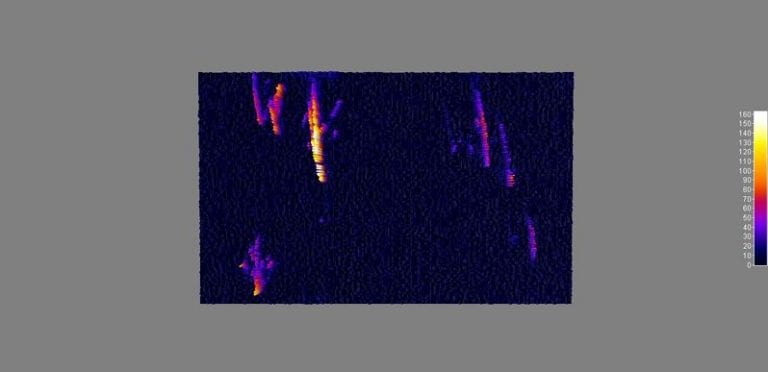 Spiritelli rossi osservati nel cielo della Campania, Ing. Minichini: "È ...