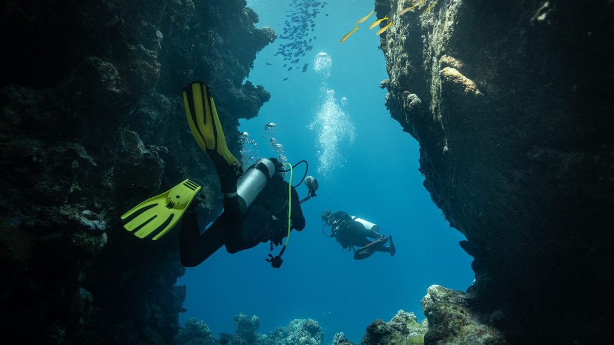 Tragedia dei 5 sub alle Maldive, l'ipotesi del mix di gas sbagliato ...