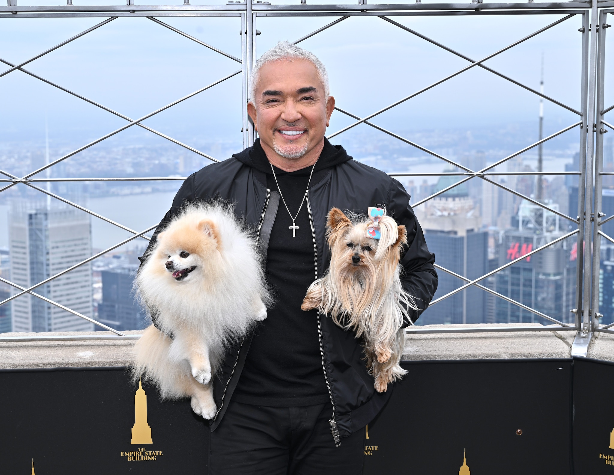 Il ritorno di Cesar Millan (che non ci mancava): "Un collare ...