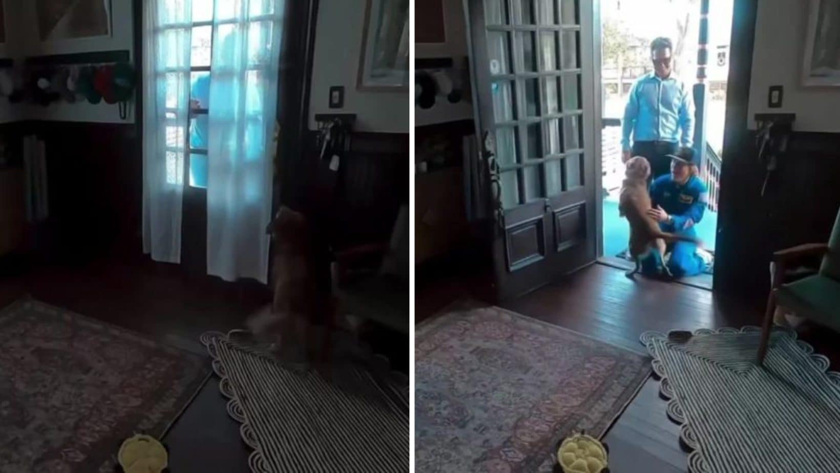 Artemis II, Christina Koch torna dallo spazio e riabbraccia il cane ...