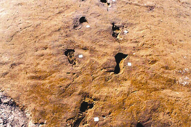 Le eruzioni più note del Vesuvio dalle origini ad oggi