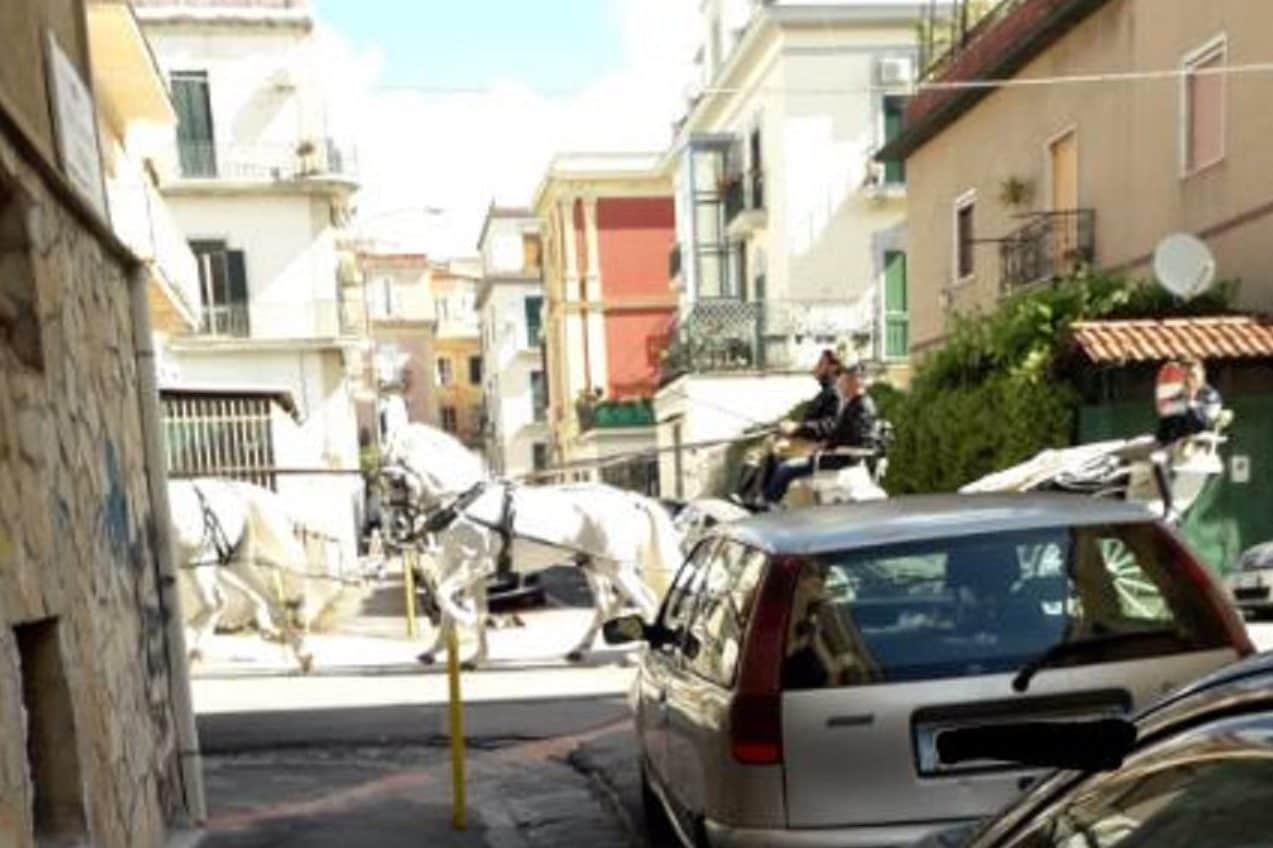 Carrozza coi cavalli e Lamborghini, scatta la multa al matrimonio del ... Carrozza coi cavalli e Lamborghini, scatta la multa al matrimonio del ...