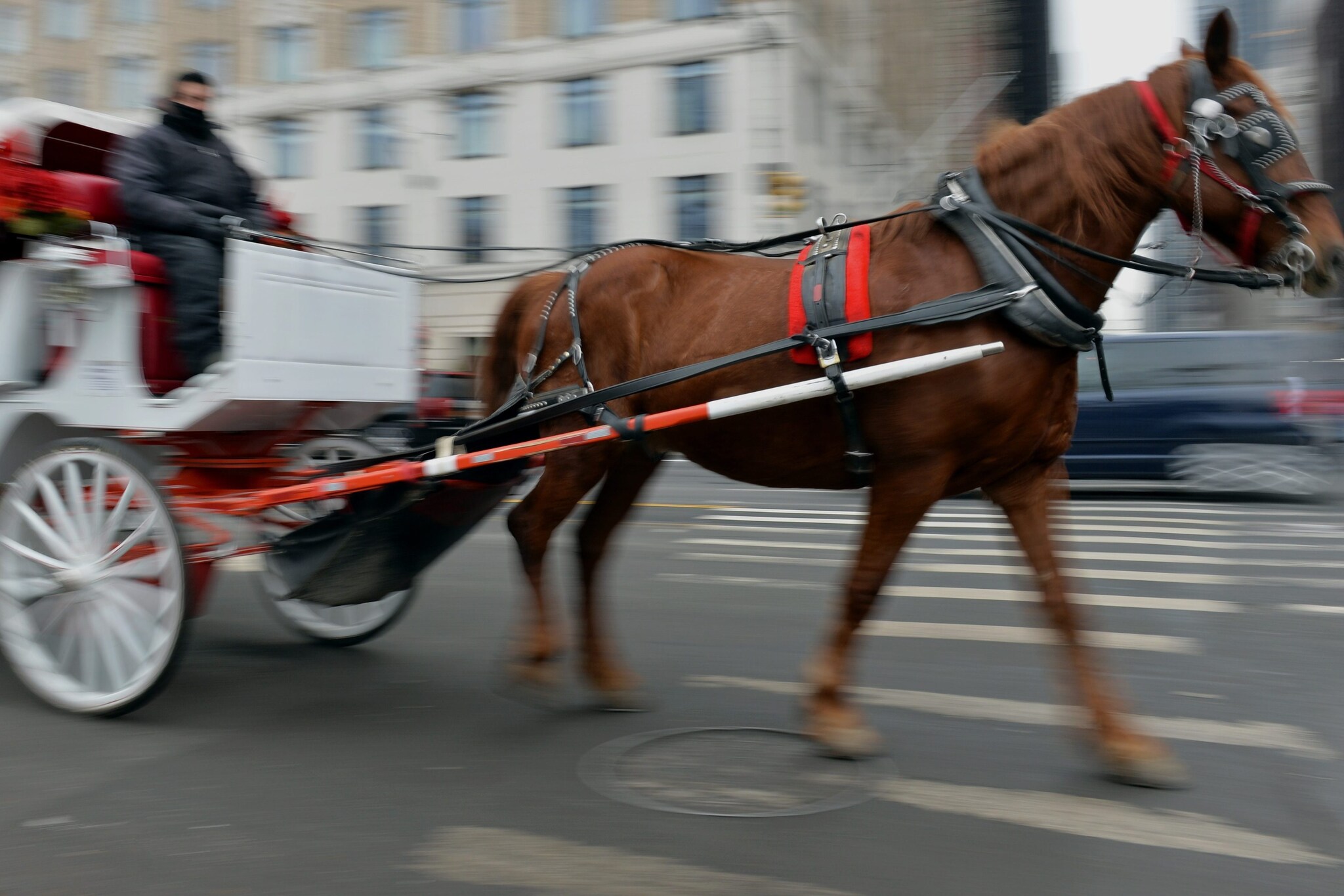 Si ribalta col calesse trainato dal cavallo: 65enne muore a Salerno