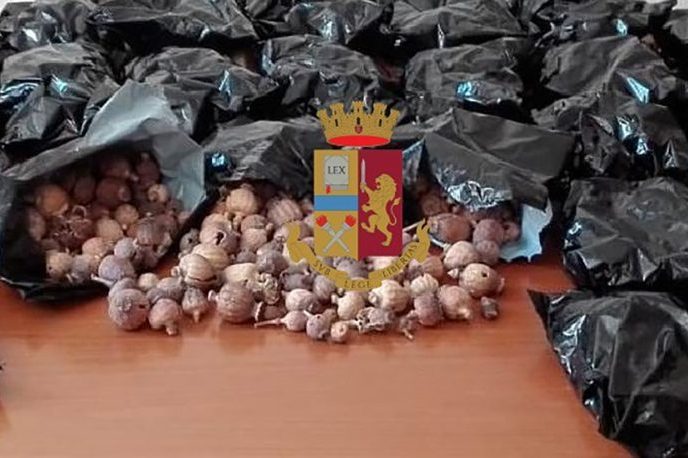 La droga dei braccianti arriva sul mercato napoletano: trovati 4 chili ...