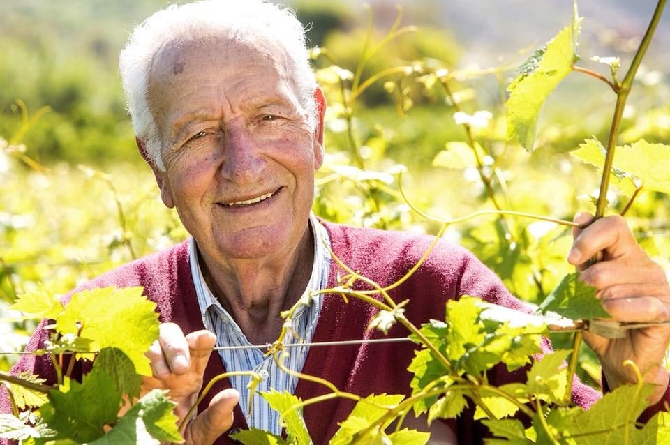 Morto Michele Moio, re del vino campano: l'imprenditore aveva 91 anni