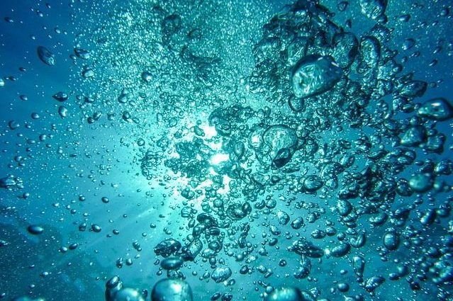 Come si muore annegati: l’acqua entra nei polmoni, si perde coscienza ...