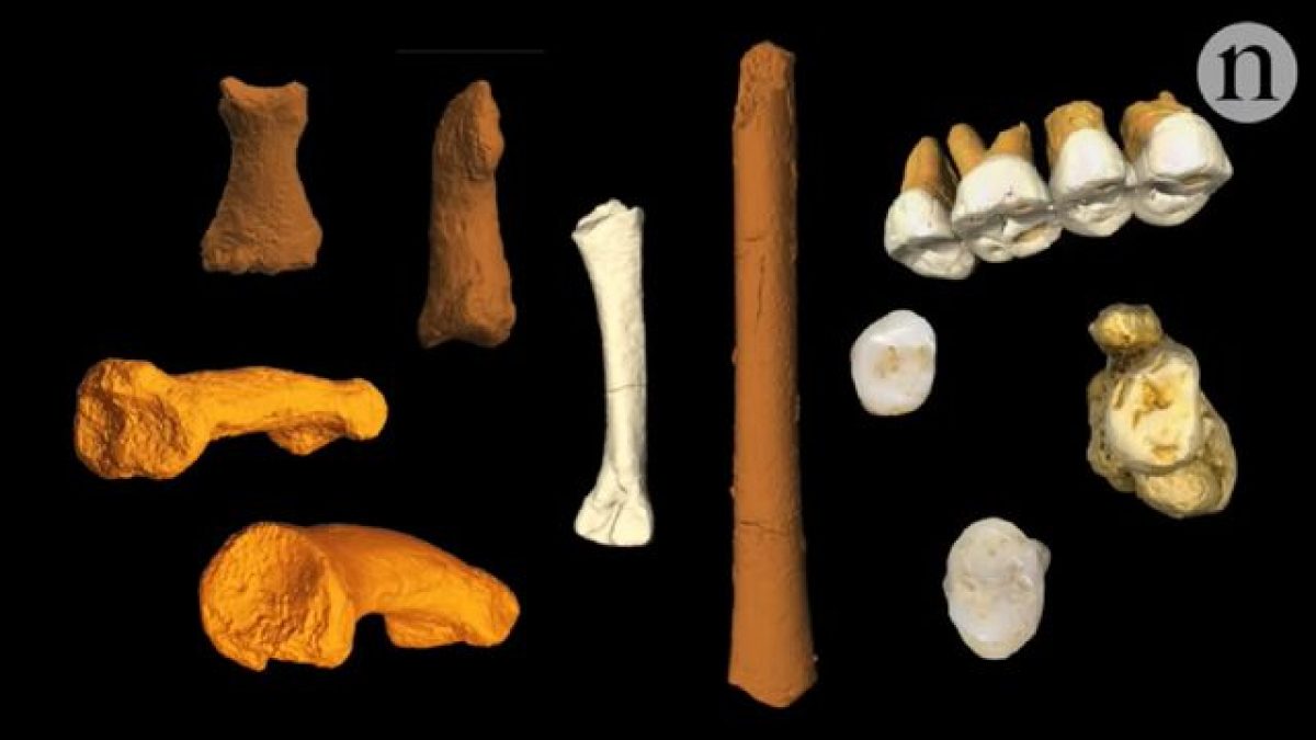 Nuova specie umana scoperta nelle Filippine: chi è l'Homo luzonensis ...