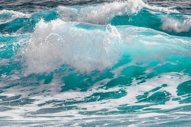 La Giornata Mondiale degli Oceani 2019 celebra la parità di genere ...