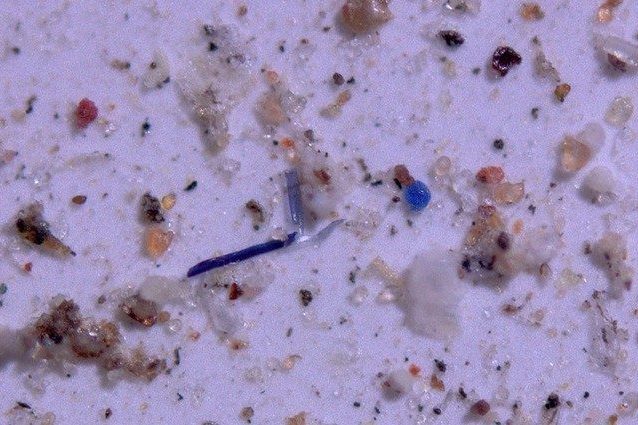 Oltre mille tonnellate di microplastiche piovono ogni anno sulle aree ...
