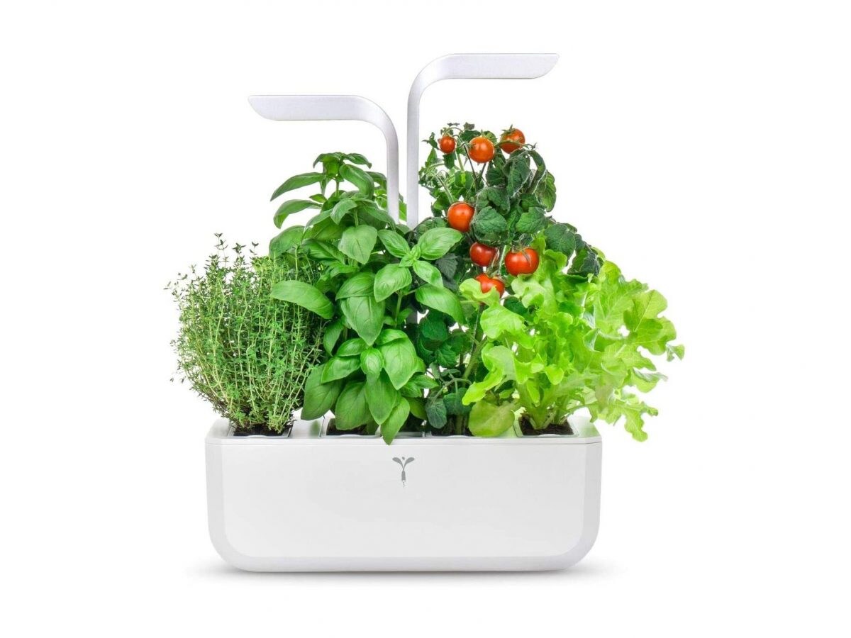 I migliori smart garden: guida all'acquisto