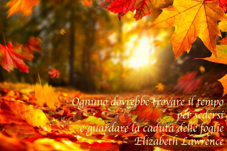 Buon inizio di autunno 2021, immagini di buongiorno e frasi da inviare ...