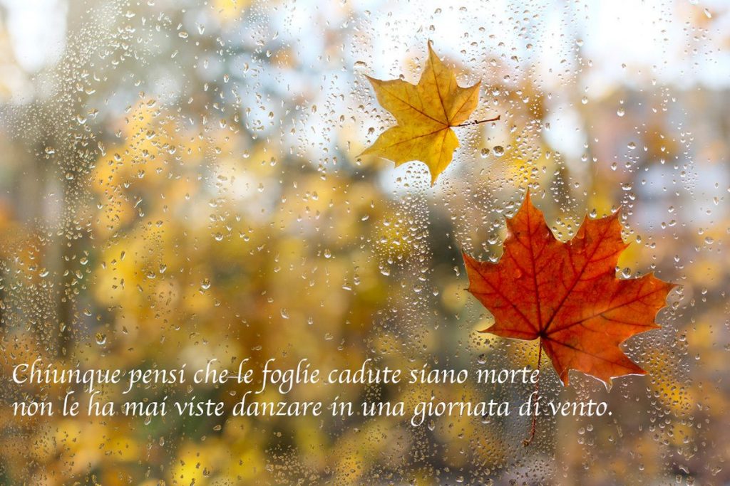 Buon inizio di autunno 2021, immagini di buongiorno e frasi da inviare ...